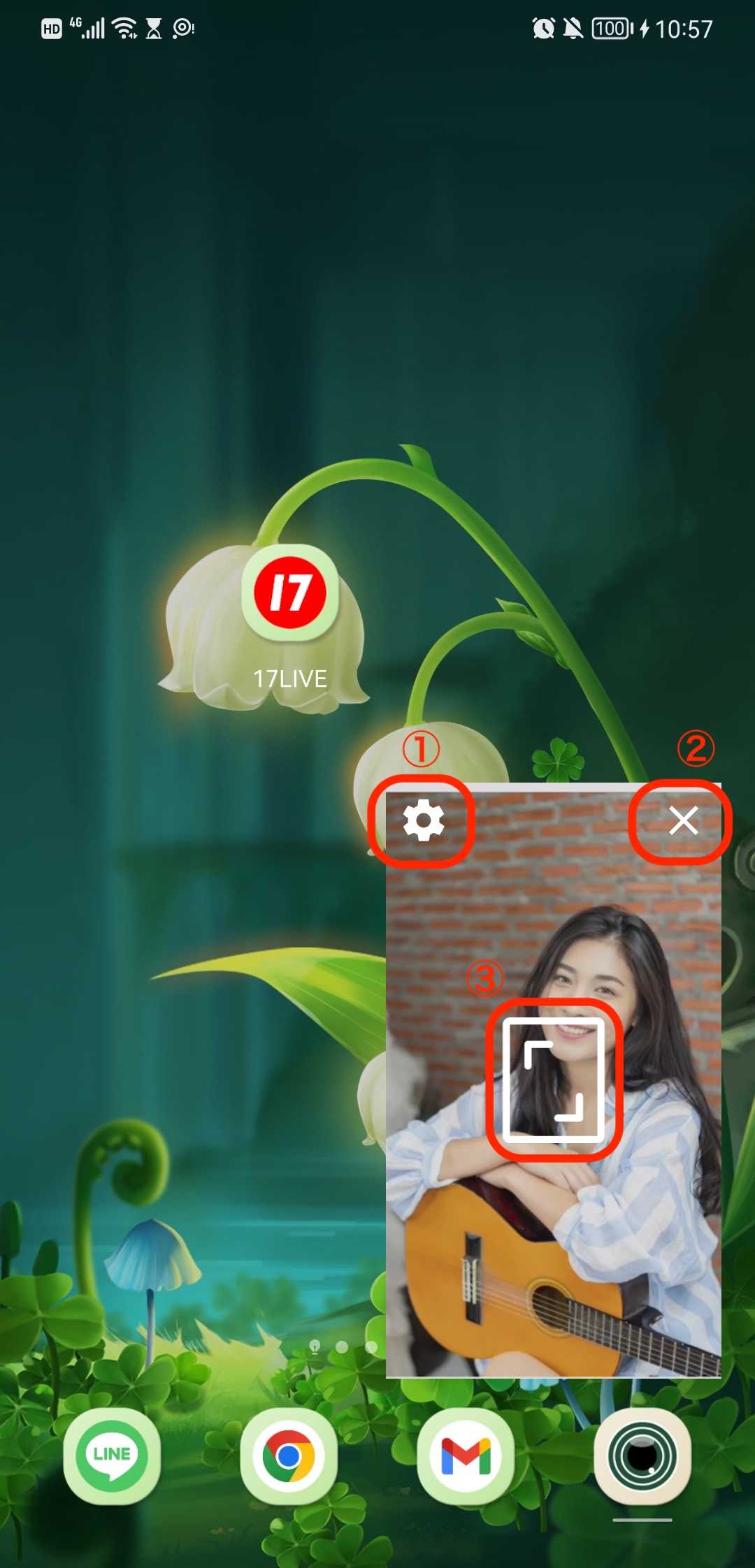 About PIP (Picture in Picture) Function – 17LIVE